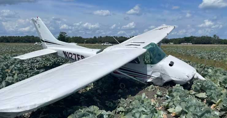 Pilot hospitalized with minor injuries after small plane crash in ...